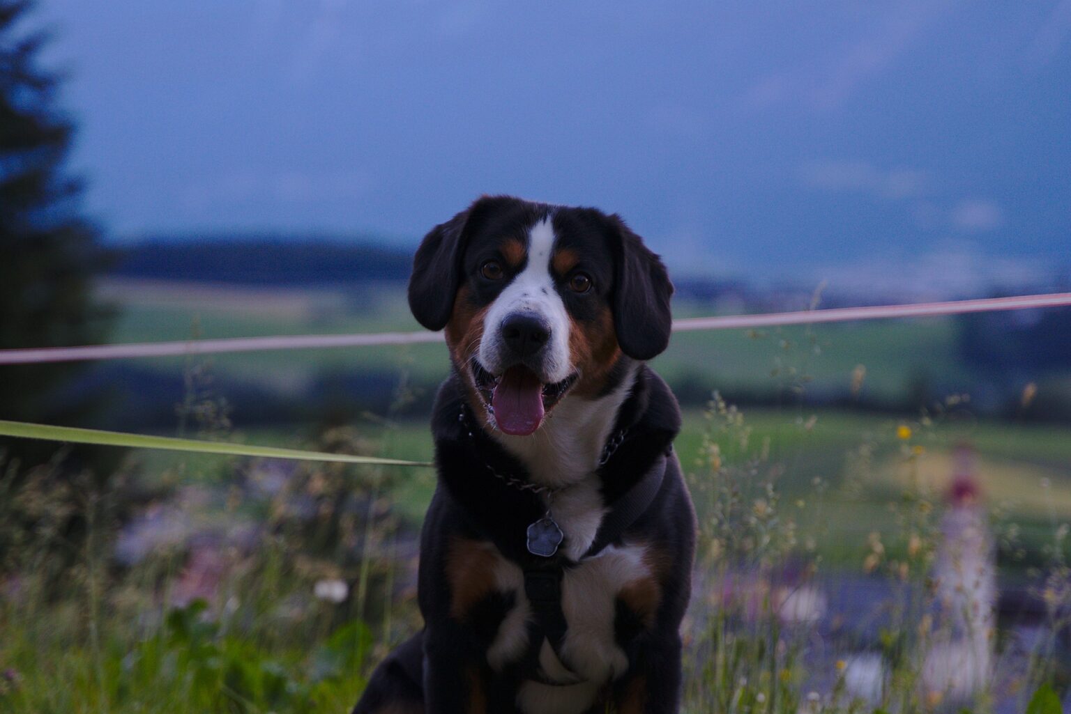 Capturing The Outdoors: Nature Photography Tips - She Snaps