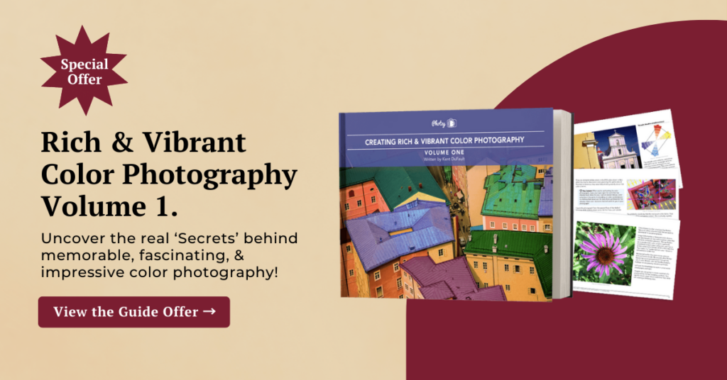 4 Free Guides On Using Color Effectively In Photography - She Snaps
